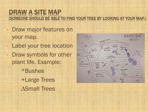 PPT Adopt A Tree Project PowerPoint Presentation Free Download ID 4274767