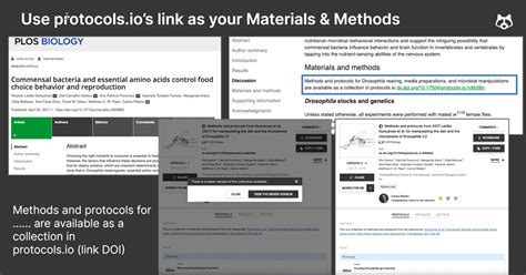 How To Make Your Protocols Complete Interactive And Citable Becker