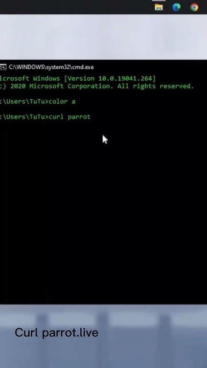 esay parrot animation in cmd cmd tricks part 1 subscribe