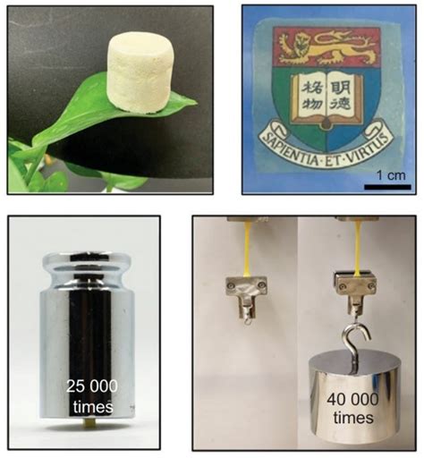 Ultrastrong And Multifunctional Aerogels With Hyperconnective Network Of Composite Polymeric