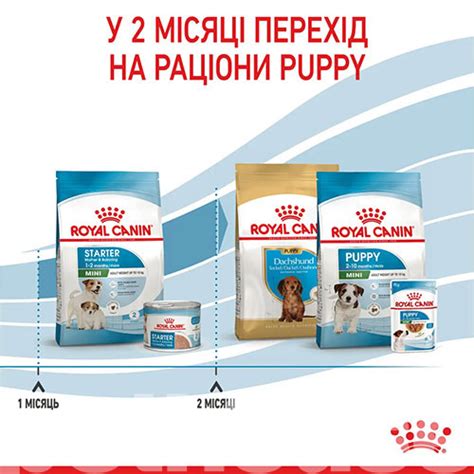 Сухой корм Royal Canin для собак. Сухой корм Royal Canin Mini Starter ...