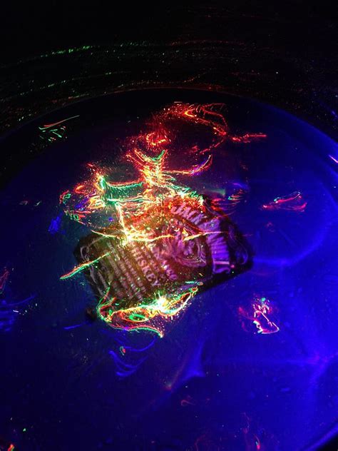 Sex Art Photograph By Eric Hall Pixels