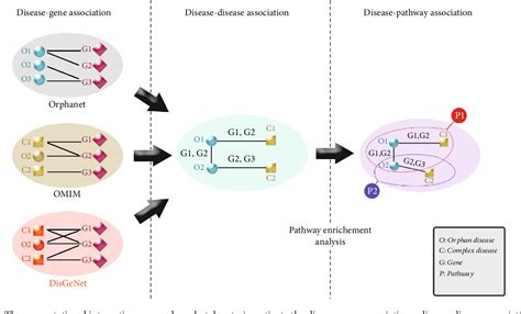 Figure 1 From Pathway Maps Of Orphan And Complex Diseases Using An Integrative Computational