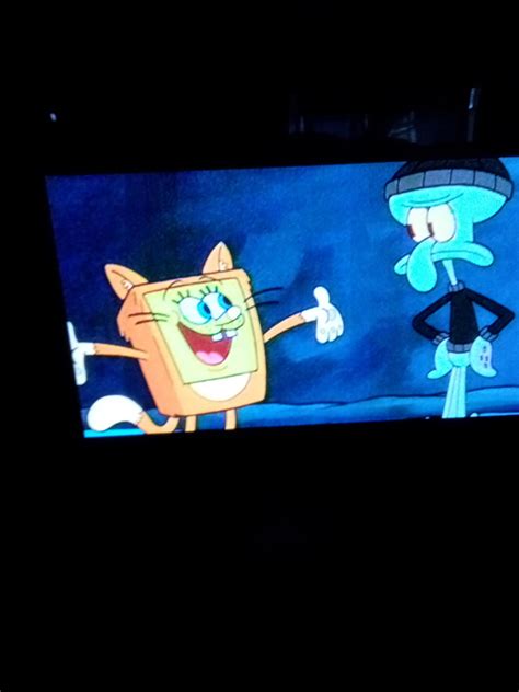 Sponge Cat 1 By Beanie122001 On Deviantart