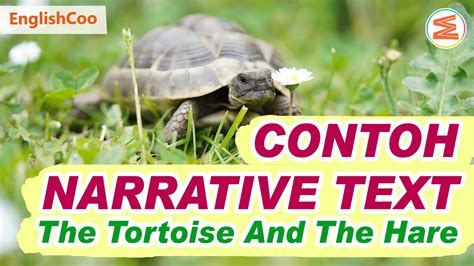 Contoh Narrative Text Bahasa Inggris Singkat Cerita Pendek Hewan The