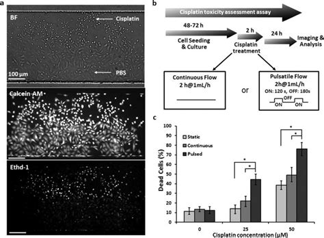 On Chip Spatially And Temporally Selective Drug Treatment Enabled By