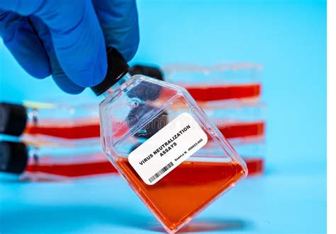 Virus Neutralization Assays Testing The Efficacy Of Antibodies Or Compounds In Neutralizing