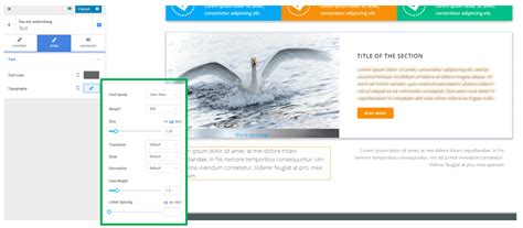Text Component Colibri Docs Text Component Colibri Docs