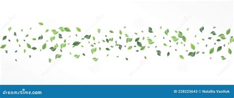 Grassy Leaf Organic Vector Border Abstract 192767069