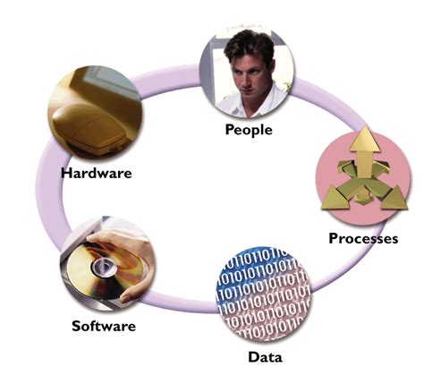 Information System Components Part 2 ~ Information About Management System