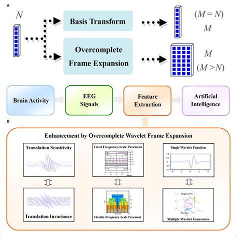 Figure 1 From Potential Of Overcomplete Wavelet Frame Expansion For