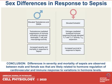 Sex Differences In Cardiovascular Response To Sepsis American Journal