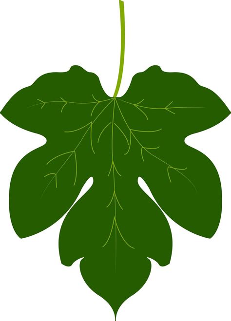 Fig Leaf Illustration Vector On White Background 13589892 Vector Art