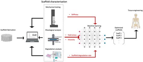 The Role Of Machine Learning And Design Of Experiments In The Advancement Of Biomaterial And