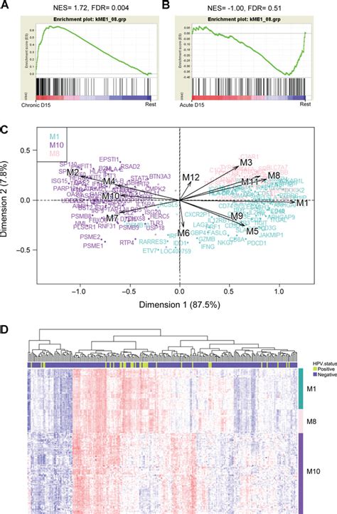 The Ifn Signaling Pathway Is Associated With Chronically Activated Cd8