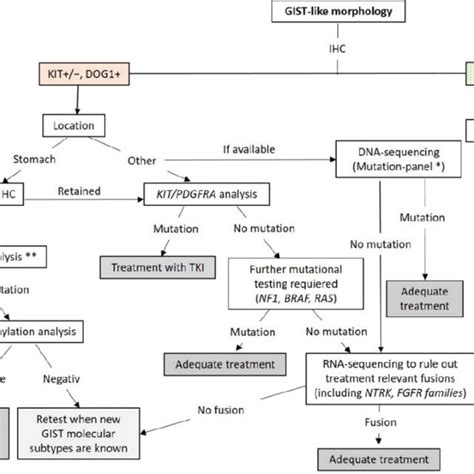Diagnostic And Molecular Testing Algorithm For Gist Our Gist