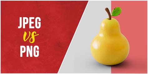 Deciphering JPEG Vs PNG Which Image Format Is Best For Me