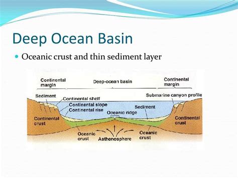 Understanding The Structure Of Ocean Basins