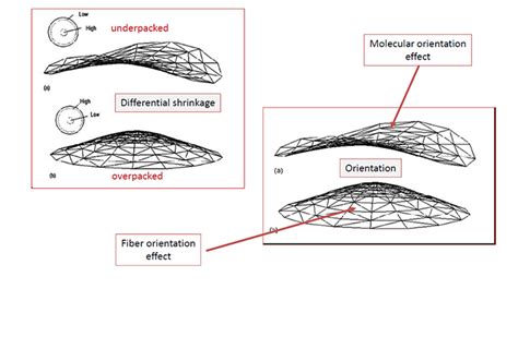 Bims 1 Webinar Packing And Fiber Induced Anisotropy Of Shrinkage