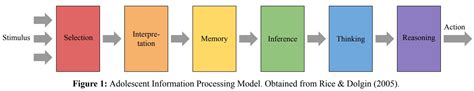 Investigating The Cognitive And Neurobiological Factors In Adolescent