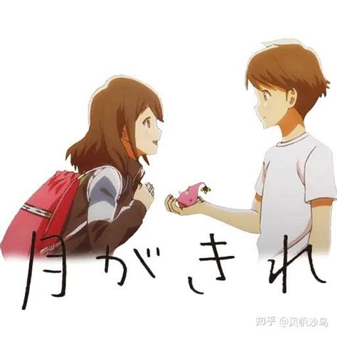 numpy学习笔记 创建数组 知乎