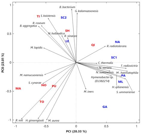 Comparative Analysis Of Airborne Bacterial And Fungal Communities In South Eastern Italy And In