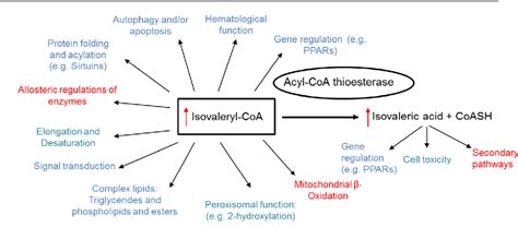 Figure 3 From Isovaleric Acidemia An Integrated Approach Toward