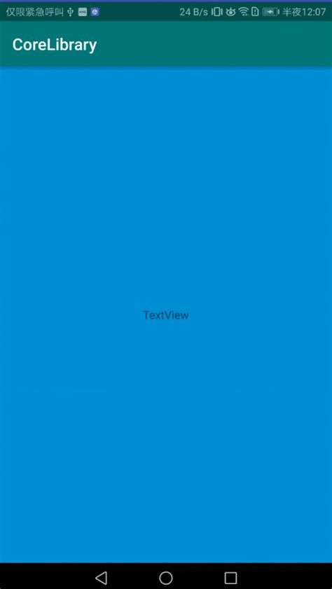 Libcore Theme 《私有库使用文档》 极客文档