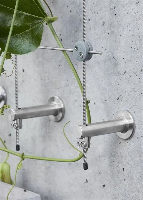 Diy Green Wall Cable Trellis Kit Cable Loft Standoff Etsy Artofit