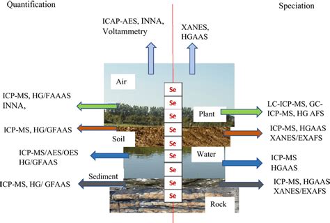 Selenium Detection From An Environmental Sample For Speciation And