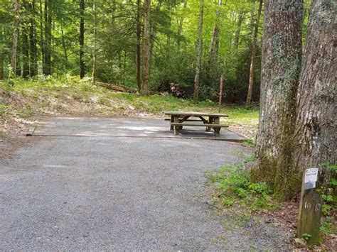 Site 10 Dennis Cove Campground