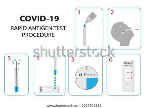 How Use Covid Antigen Test Kit Stock Vector Royalty Free