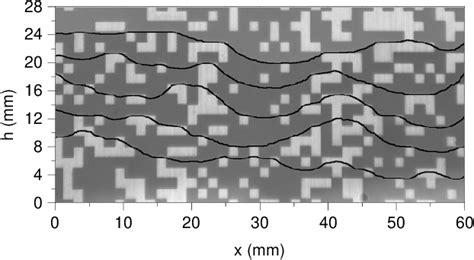 Figure 1 From Interface Roughening In Hele Shaw Flows With Quenched