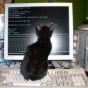 I Was Pure Black Cat But Got Nuked On Tumblr