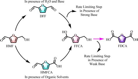 The Reaction Pathway For The Synthesis Of Fdca Using Hmf As Substrate