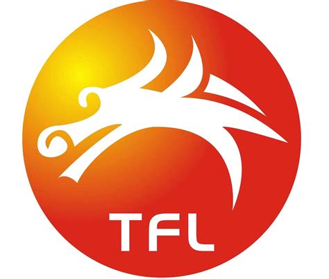 Shenzhen Teflon Fluoropolymer Materials Shenzhen