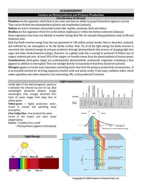 Photosynthesis And Ocean Productivity Insights Pdf Primary