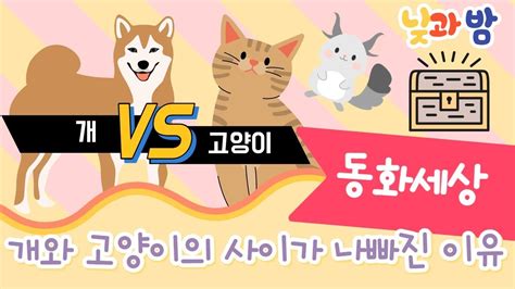 개와 고양이의 사이가 나빠진 이유 ☀️｜전래동화｜설화｜옛날이야기｜오디오북｜낮과밤동화세상 Youtube