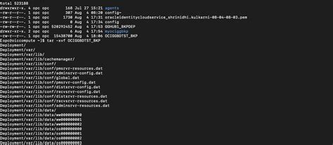 access oci goldengate deployment backup as regular filesystem using