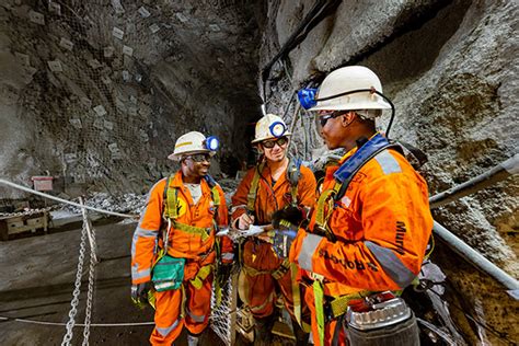 Adding Value Beyond Execution For Optimal Mining Projects