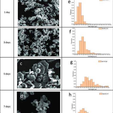 Schematic Diagram Of The Crystallisation Process Of Simonkolleite In Download Scientific