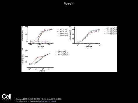 the ssdna mutator apobec3a is regulated by cooperative dimerization