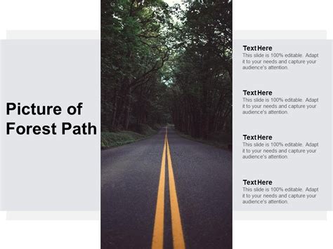 Picture Of Forest Path Ppt Powerpoint Presentation Portfolio Examples