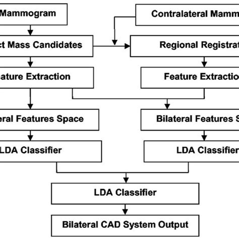 Block Diagram Of The Bilateral Cad System For Mass Detection On Mammograms Download
