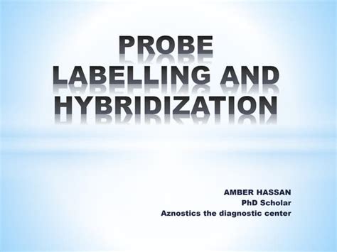 Probe Labelling And Hybridization Pptx