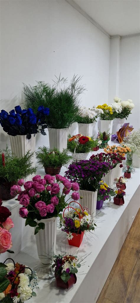 დარეჯანის დარეჯანის ყვავილები Darejanis Yvavilebi