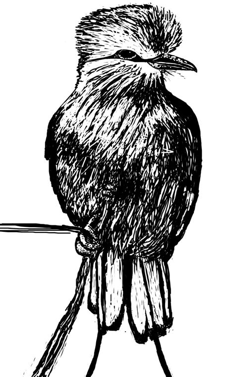 Scribble Bird By Scarfparty On Deviantart