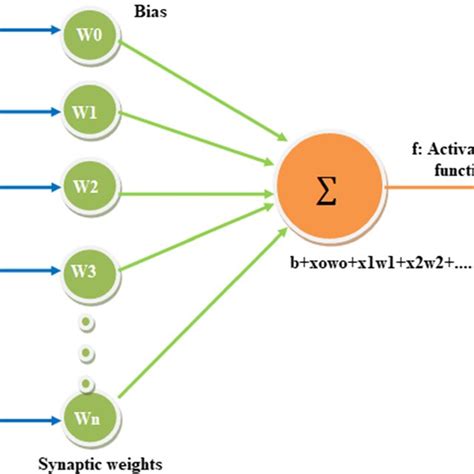 Neuron With Inputs Weight And Bias Download Scientific Diagram