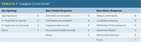 EMT Chapter Flashcards Quizlet