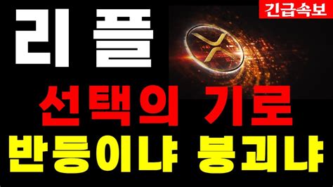 리플 Xrp 선택의 기로 반등이냐 붕괴냐 Youtube